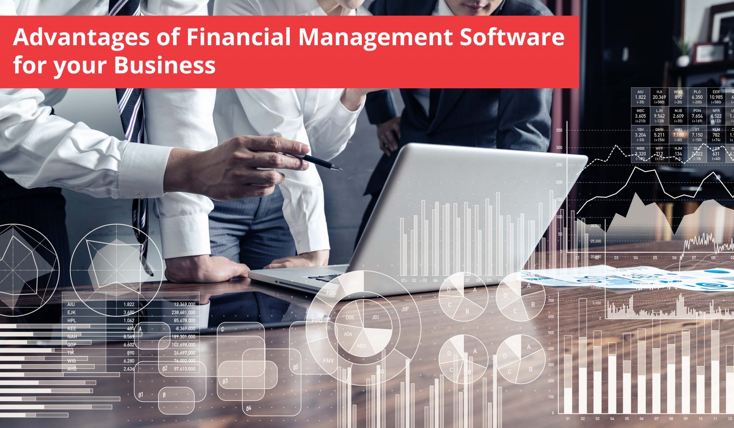 Advantages of Financial Management Software for your Business - Zikzuk
